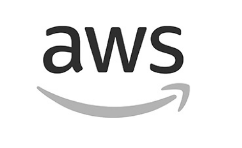 Partnerships - Arraya Solutions