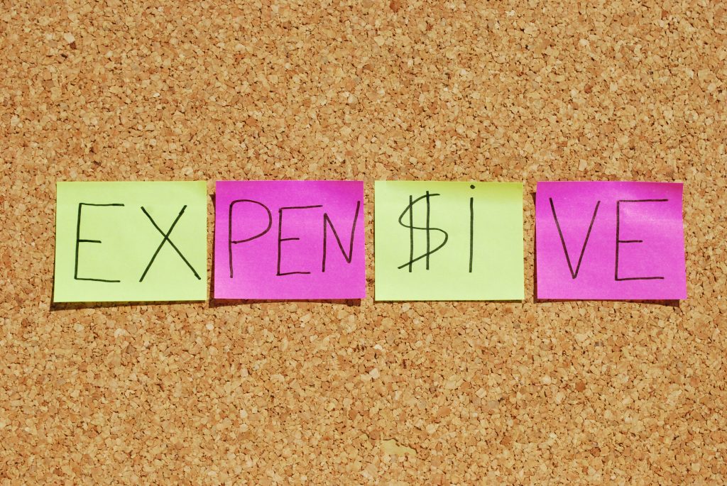 5 App Dev Myths Part 1: Custom Development is Too Expensive - Arraya ...